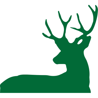 Scandic – Stag Oak and Pine